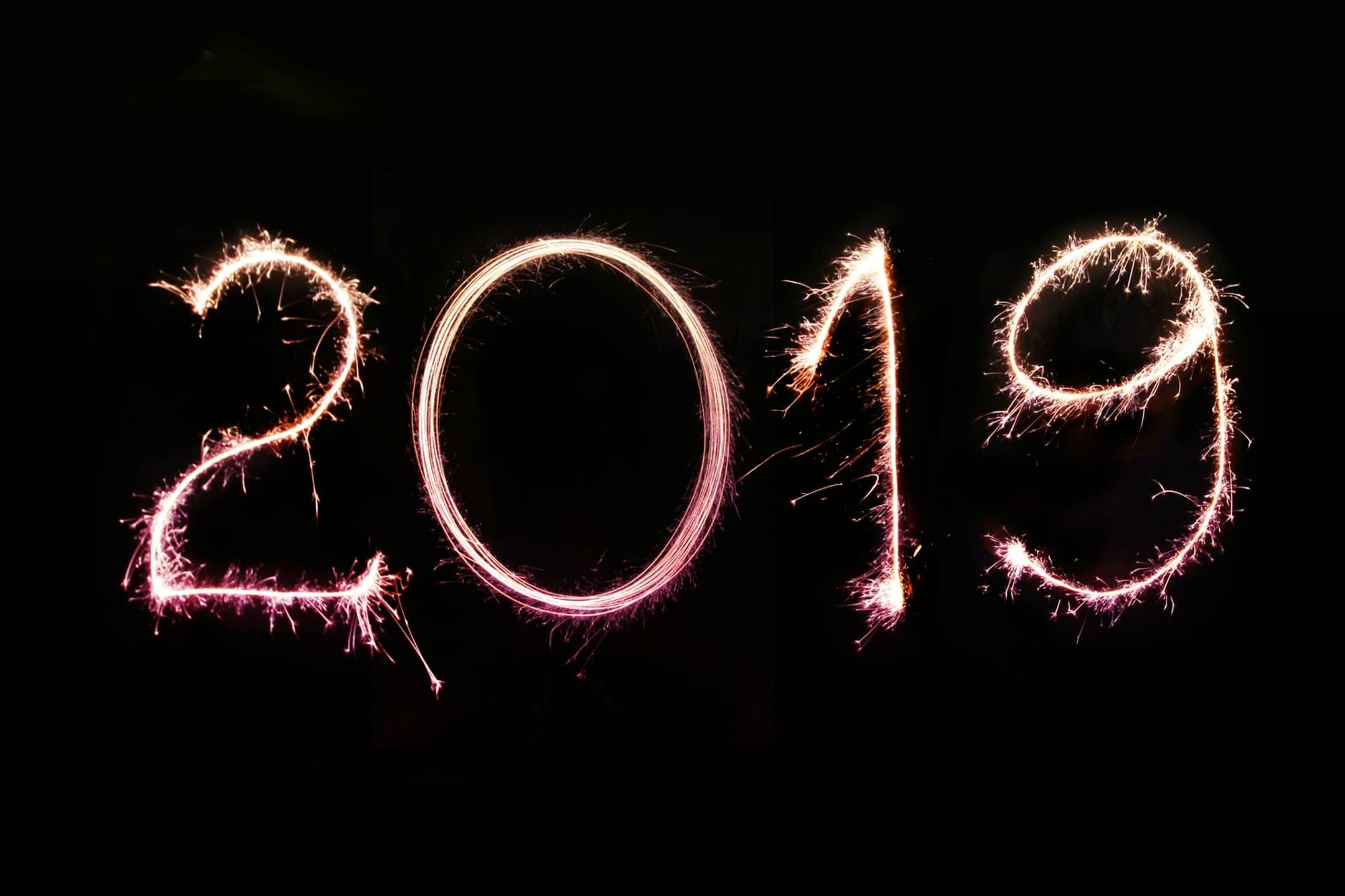 2019 - A Year in Review | Where will you go next?